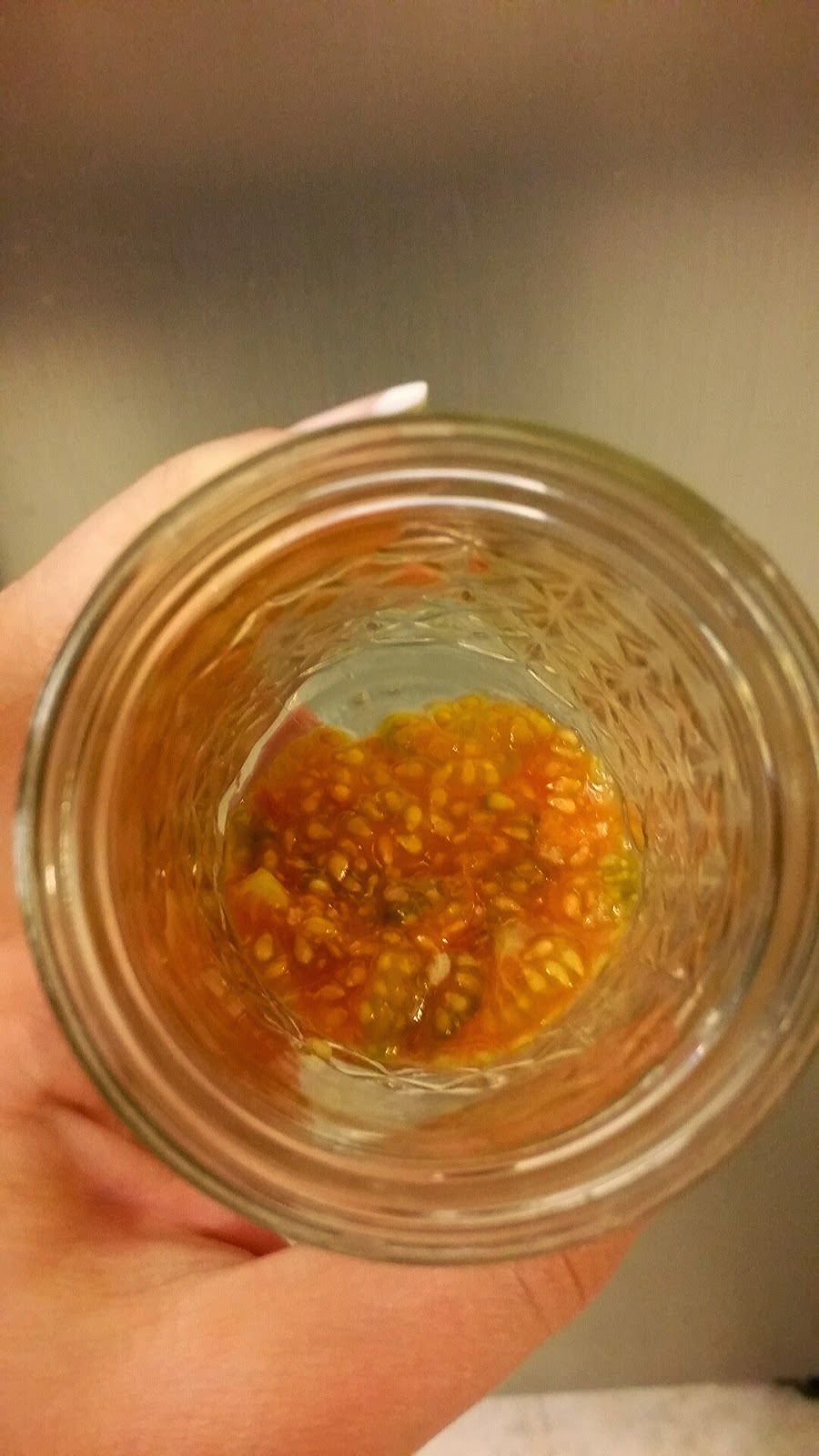 How to ferment and save seeds – Minisliceoffarm