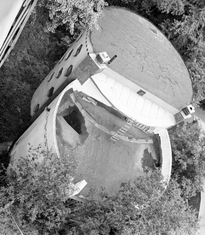 Let's keep it wild.: Honeycomb