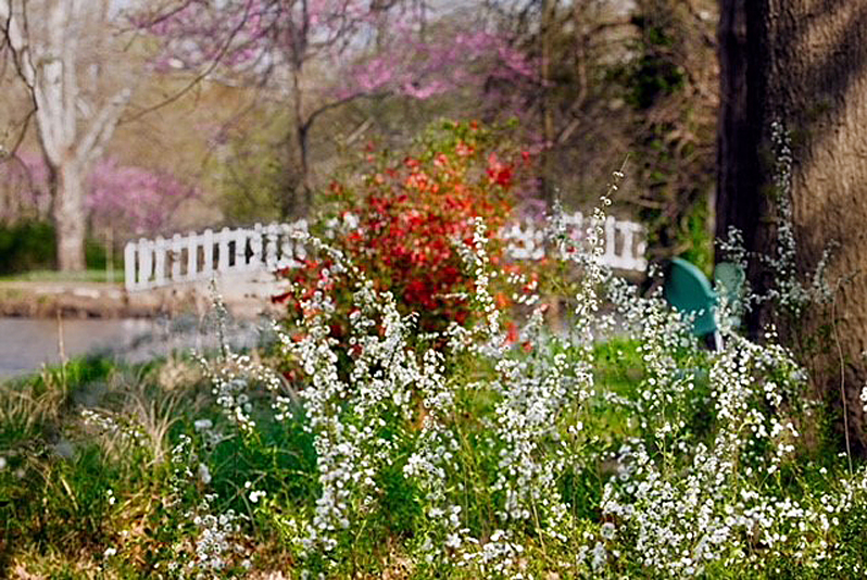 Kansas Transportation: Bartlett Arboretum Kansas Transportation: Bartlett Arboretum