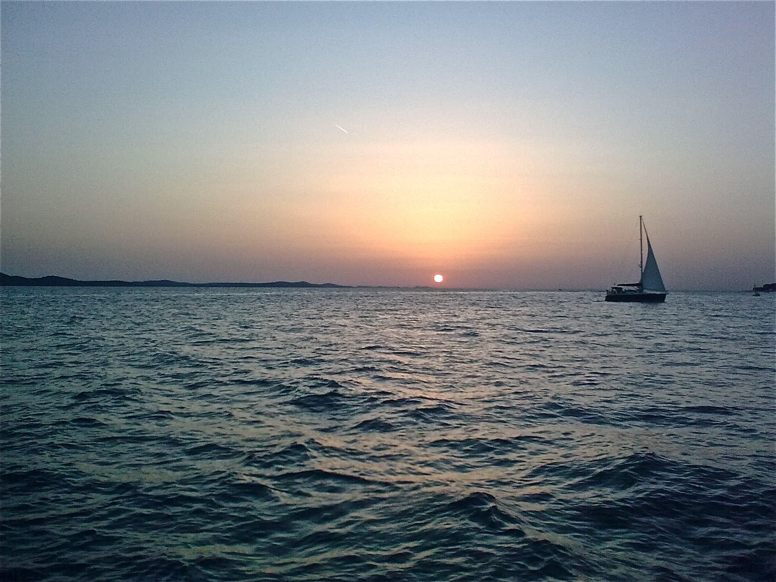 LA SUMISIÓN AL ABANDONO: EL TIBURÓN ROBOT MORDEDOR*