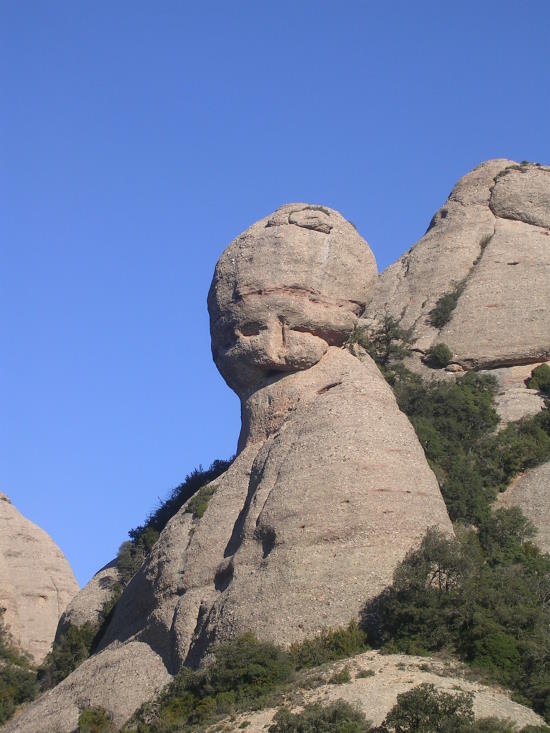 Sisbemessanapren: Integral " capdemunt