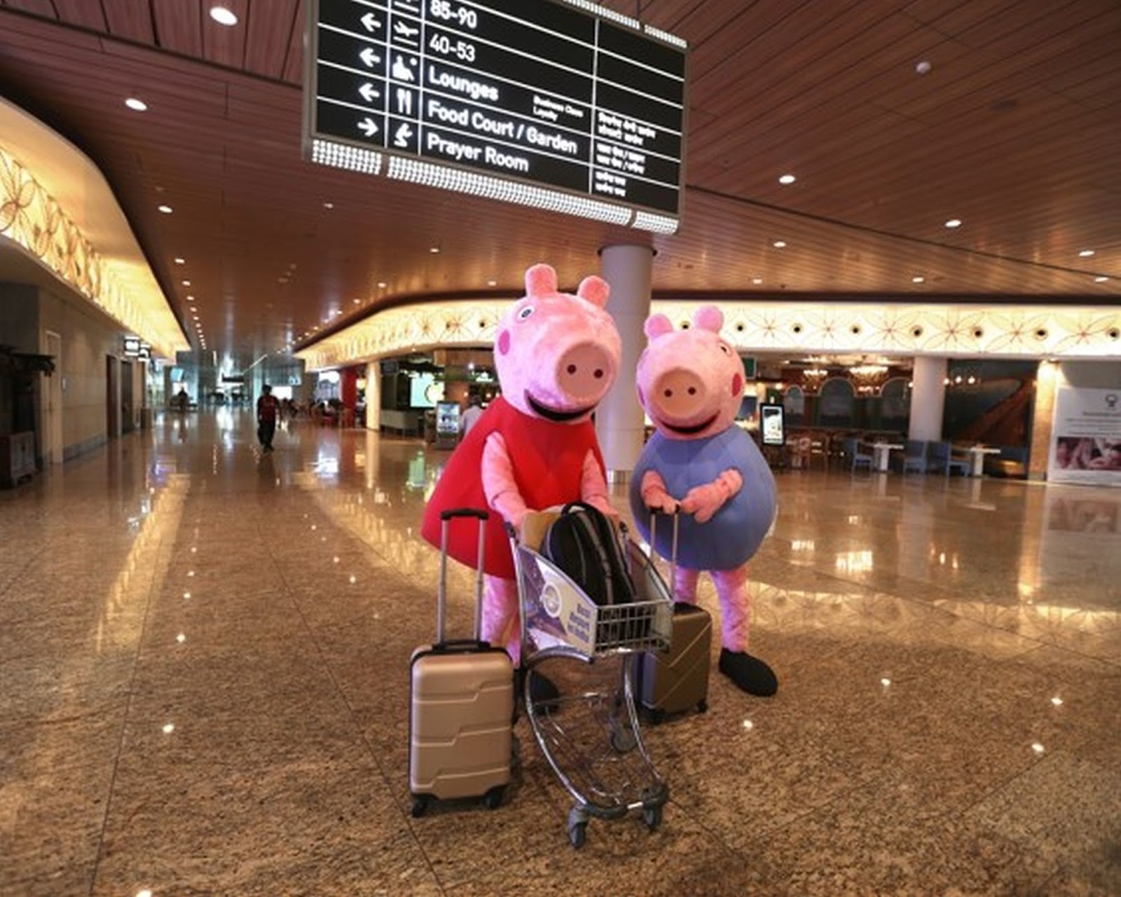 NickALive!: Peppa Pig and her Brother George Finally Arrive in India