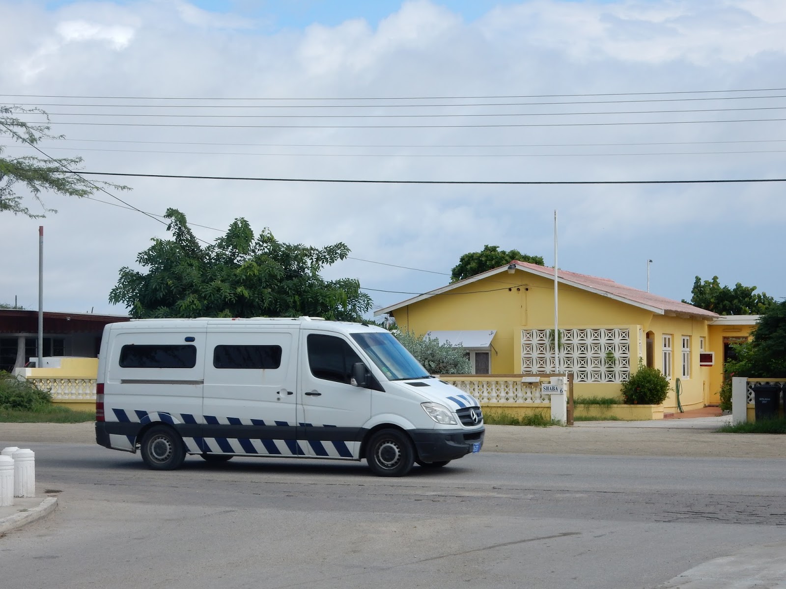 Florida en Aruba 2016: Trupialen in de kwihi + Bios.