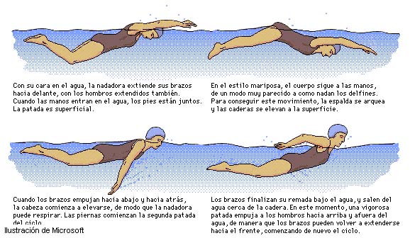 Imagenes De Estilos De Natacion