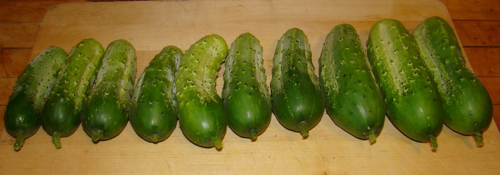 First Pickles of the year