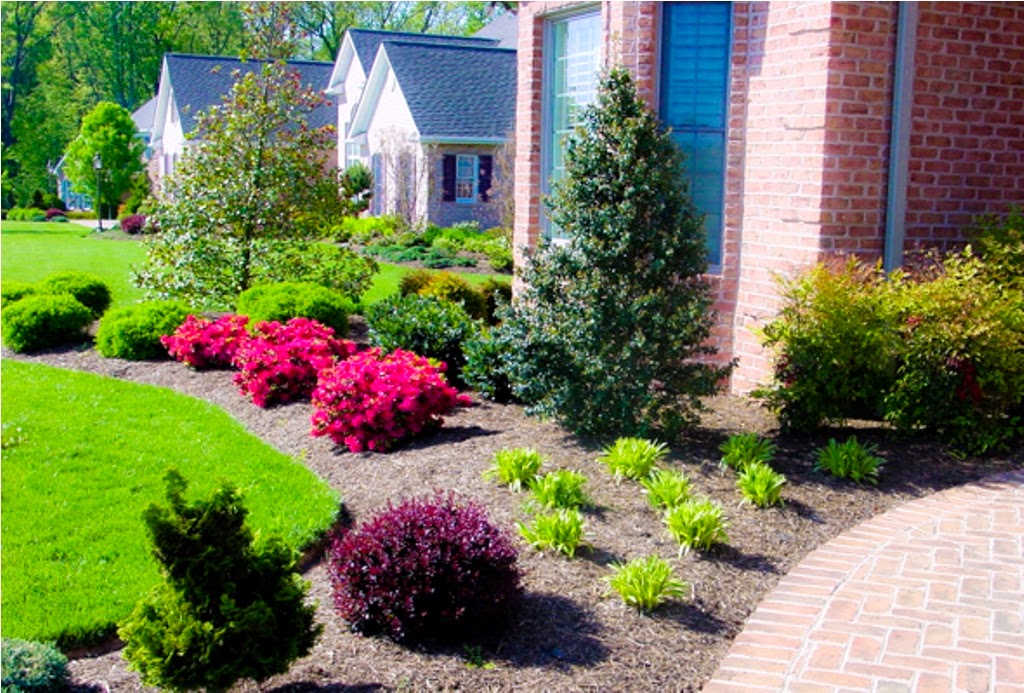 Best Modern Front Yard Landscaping | Front Yard Landscaping