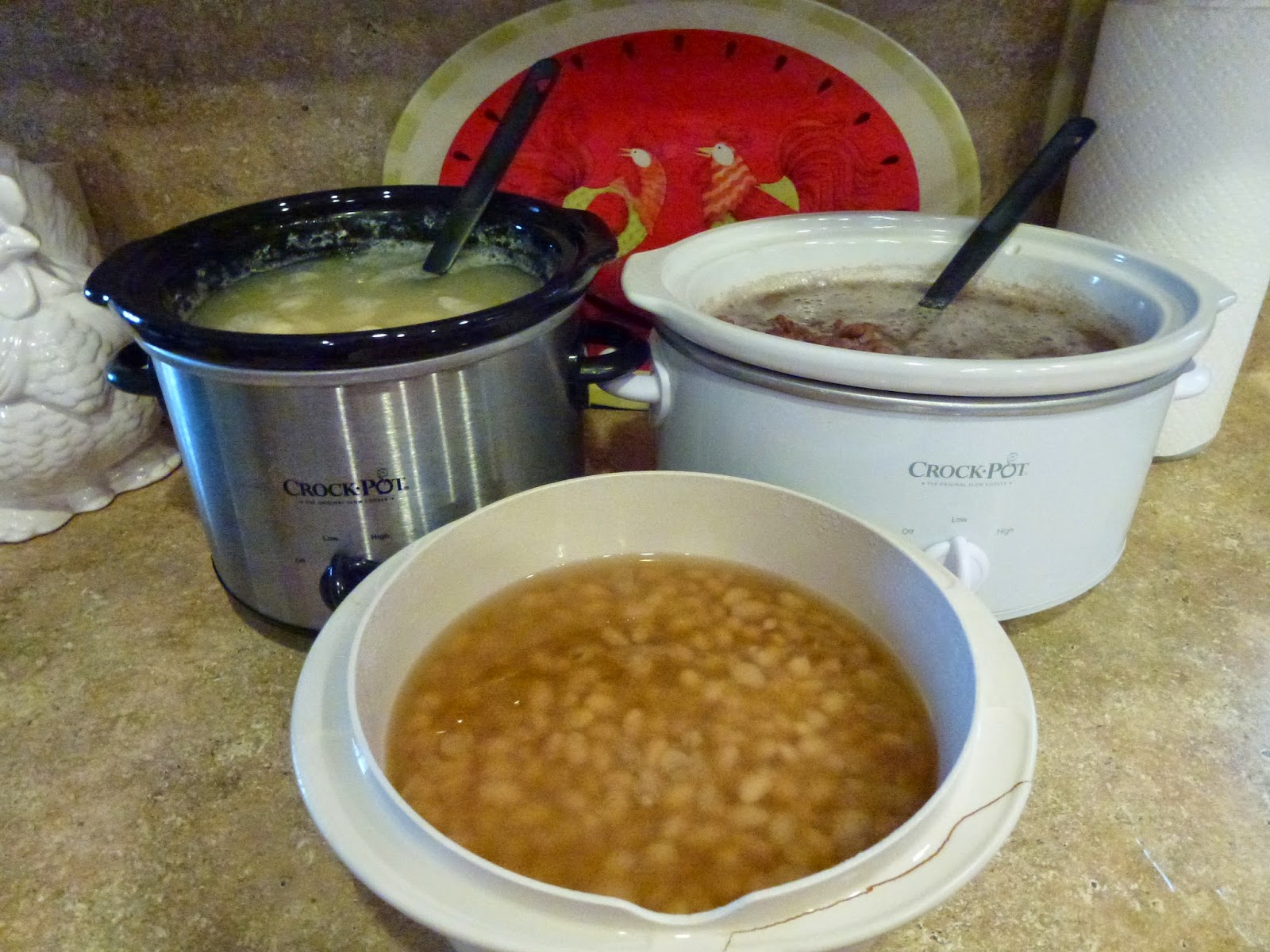 CJs Daily Bead and More: Yellowstone's Famous Roosevelt Beans