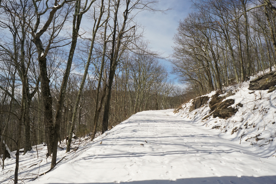 Dolly Sods: Snowshoeing to Bear Rocks