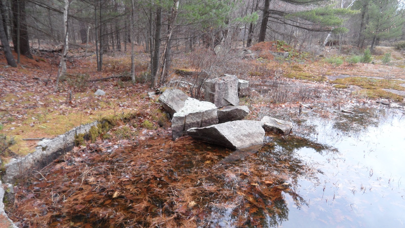 Fossils and Geology of Lanark County, Ontario: “Perth stone” Purple ...