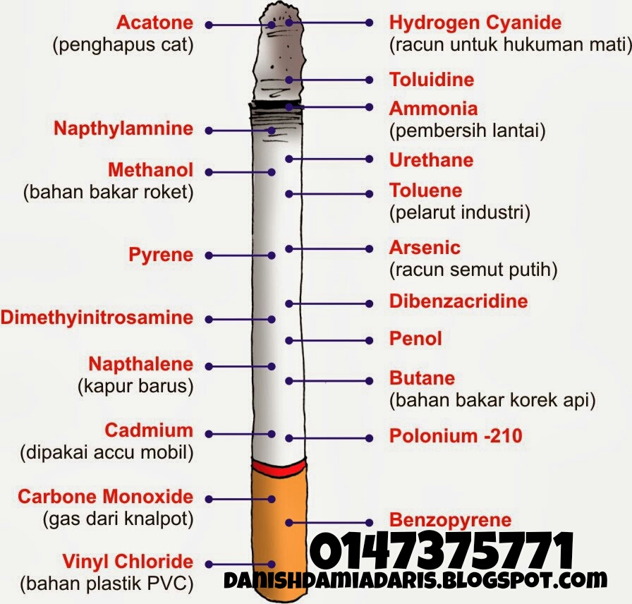 3D health beauty supplement: KISAH PEROKOK TEGAR BERKONGSI CARA ...