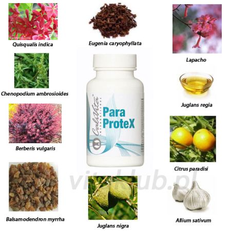 Produse Naturiste si Bio: ParaProtex te Ajuta sa Scapi de Paraziti