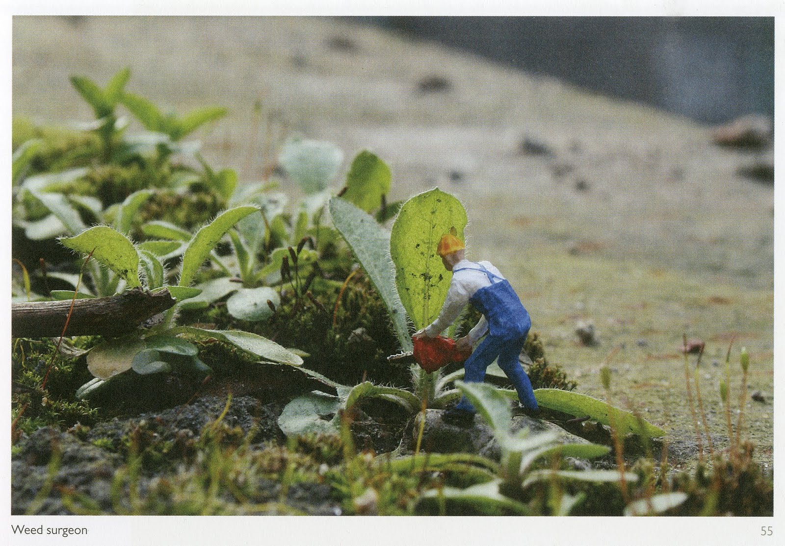 Miniature Artist Slinkachu on Pinterest