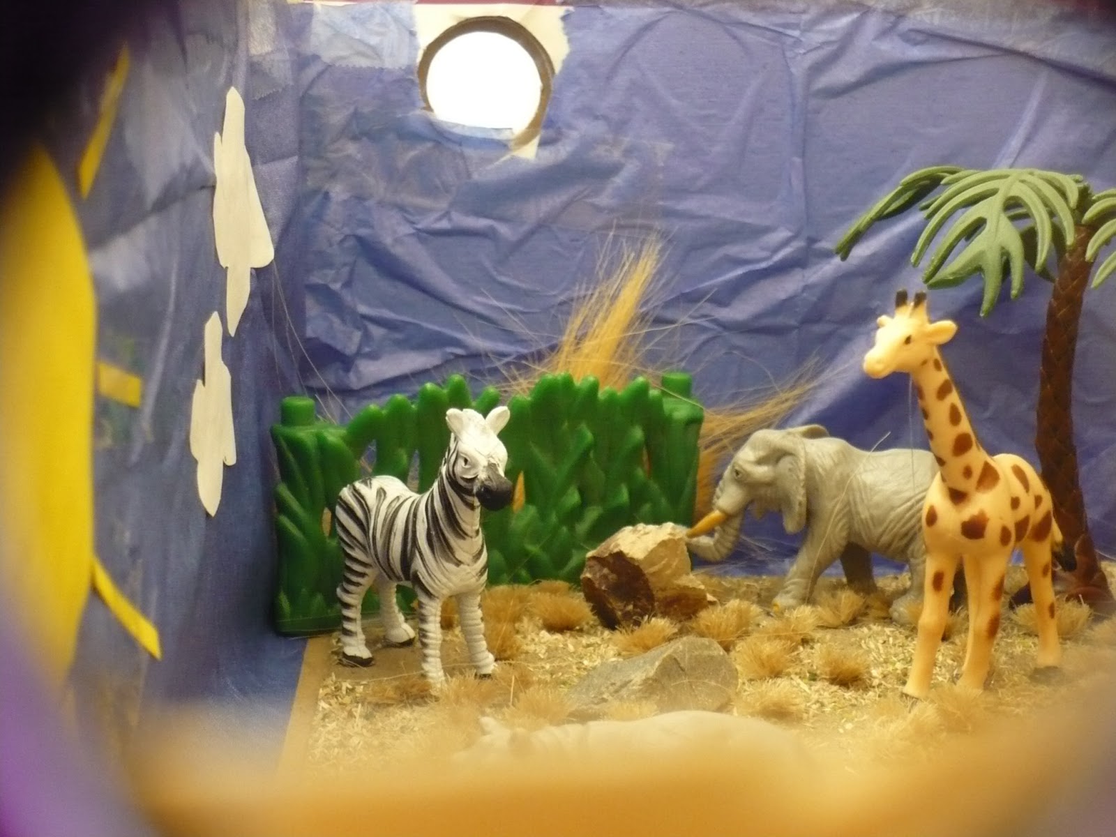 Science Etc.: Biome Dioramas