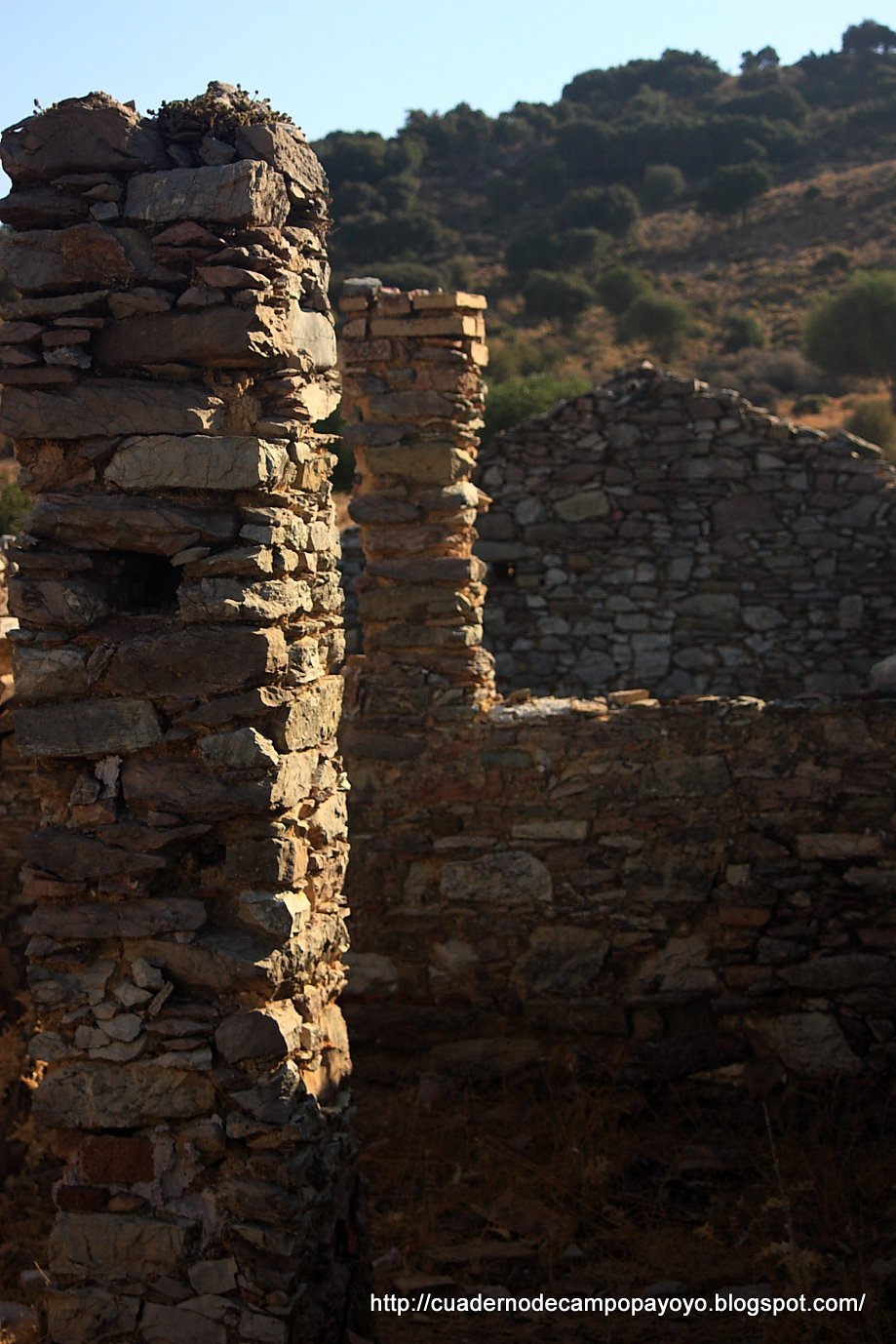 Cuaderno de Campo Payoyo: La escuela de Barrida