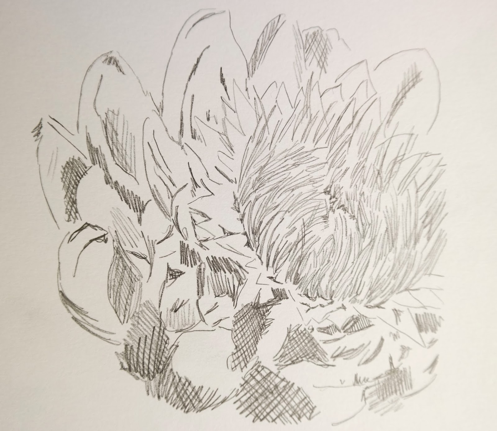 Line drawing | OCAdrawing1jfm