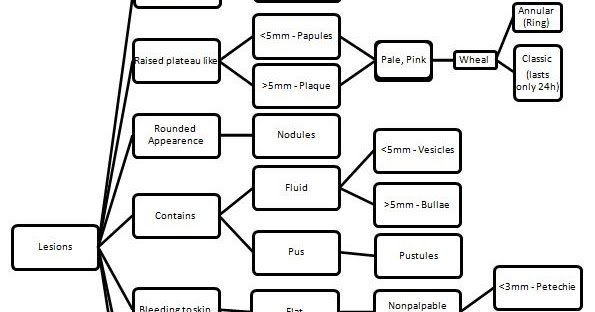 Medicowesome: Different types of skin lesions (as in rashes)