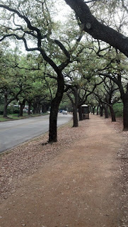 Houston Walks: Rice University Loop