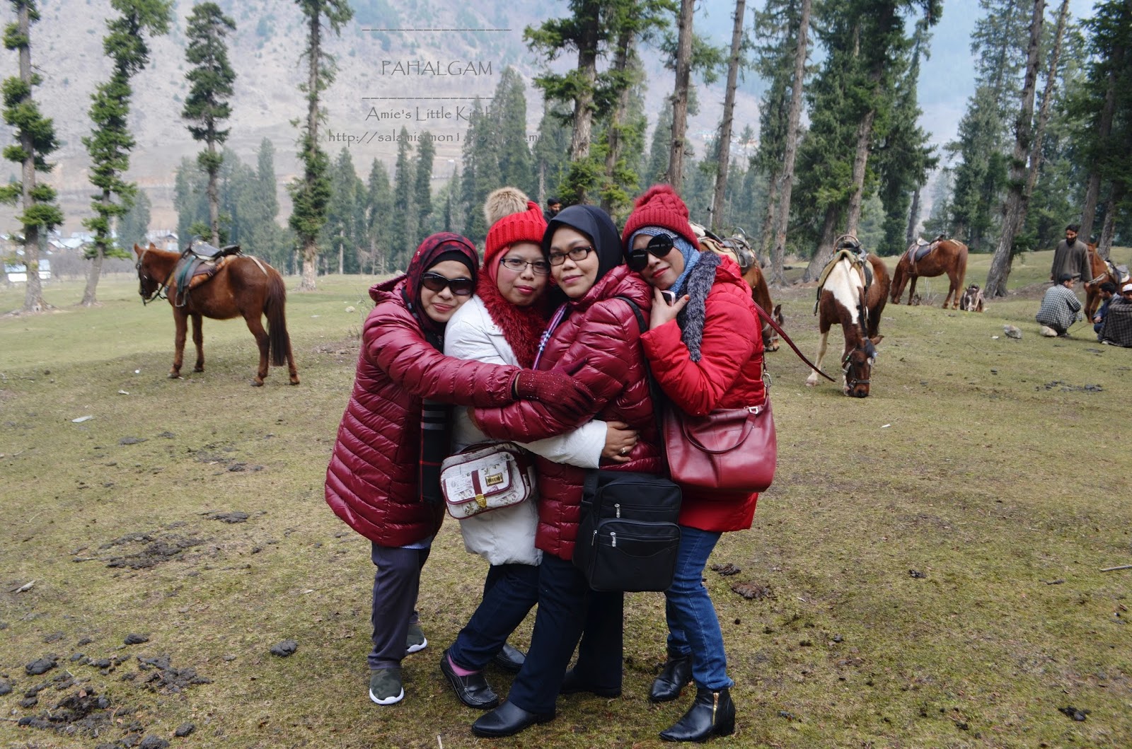 Pahalgam - Hotel Pine Spring - Menunggang Kuda di Kaki Gunung - Amie's ...