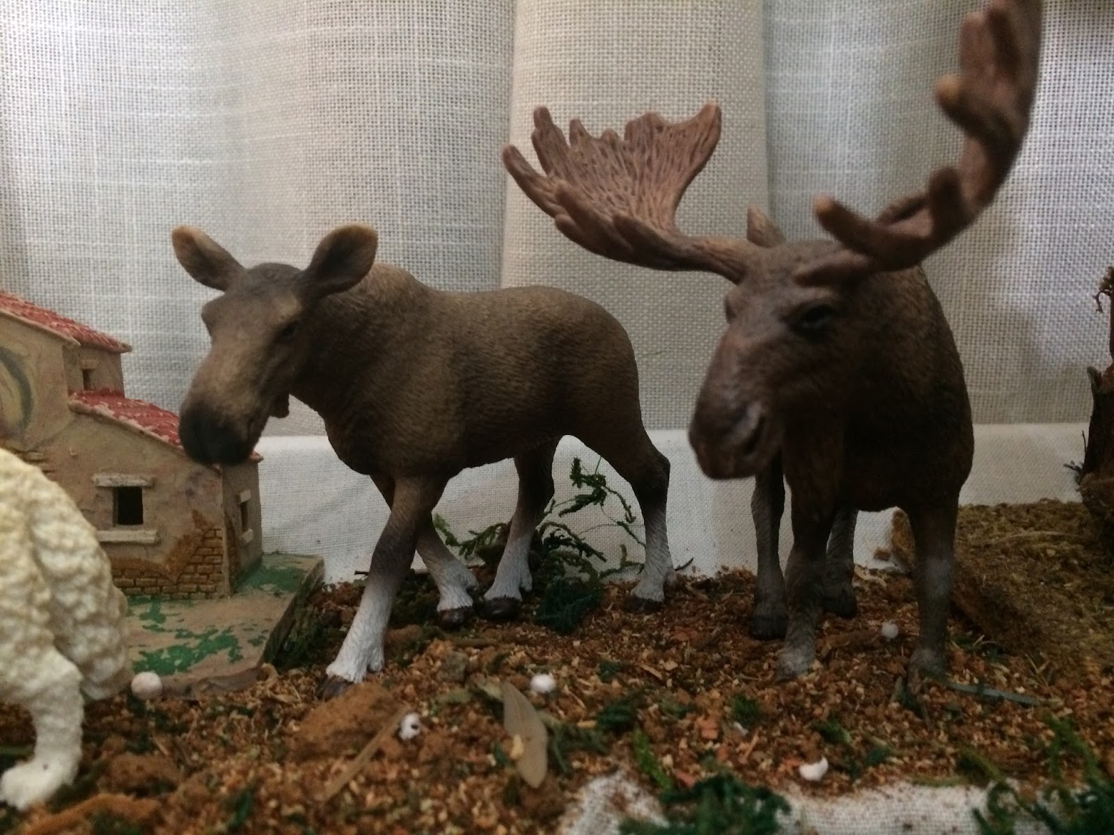 LA CIENCIA DE LA VIDA: Se armó el belén 2016