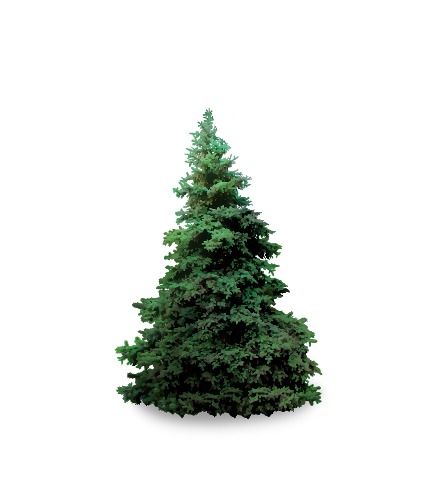 TRESS PNG - Exetramix