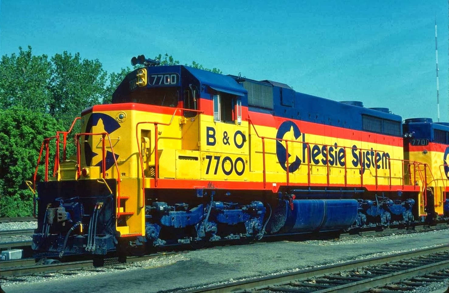 transpress nz: Chessie the cat