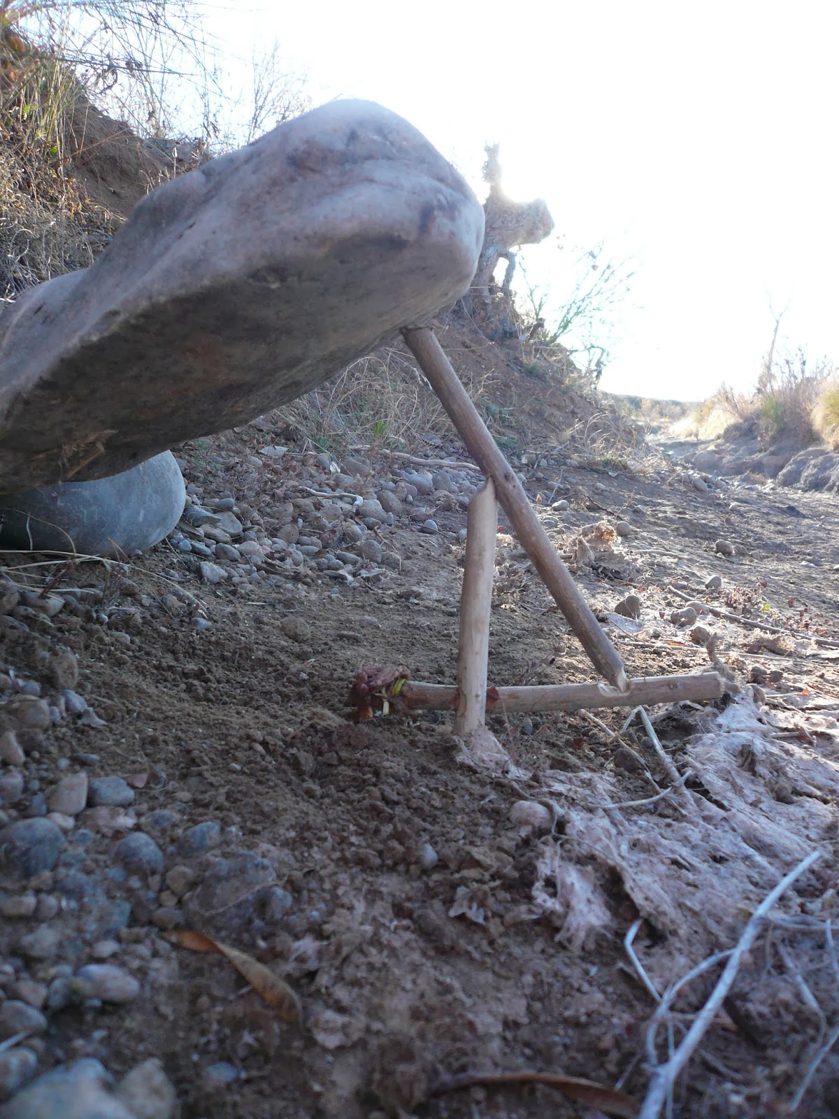 Countryman: Foraging California's Wild Side: Snares and Traps from ...