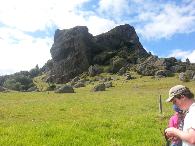 Mangonui School: Tuatara climb Taratara