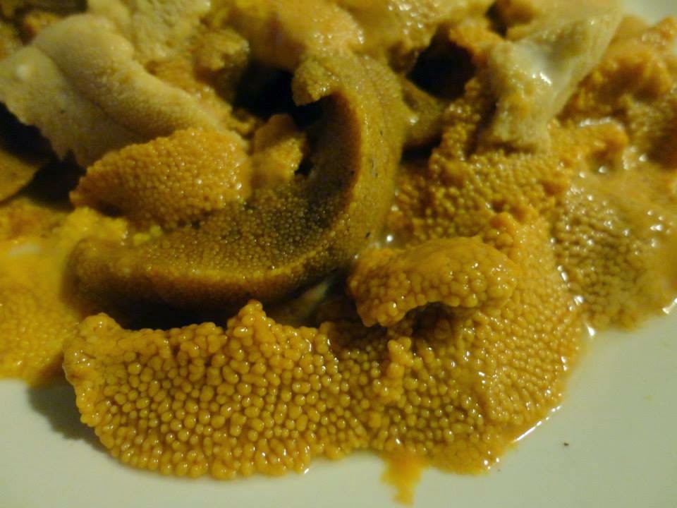 Locavore Intentions: Sea Urchin Roe on the Menu