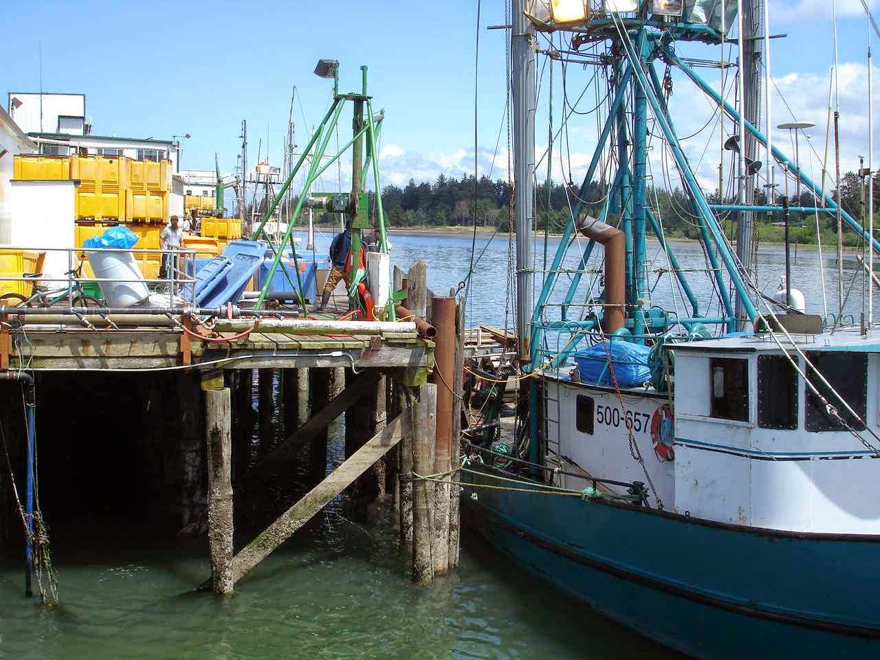 J and B and Lady Blue: Mid Coast of Oregon