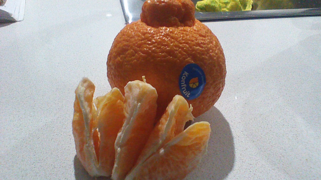 Garden Path Kitchen Door: KONJIFRUIT / SUMO FRUIT