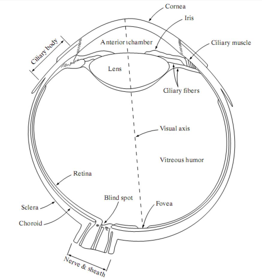 4. Explain about elements of visual perception. | Legend Techz