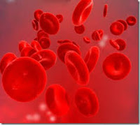 Golongan Darah Rhesus (Rh) - E-JURNAL