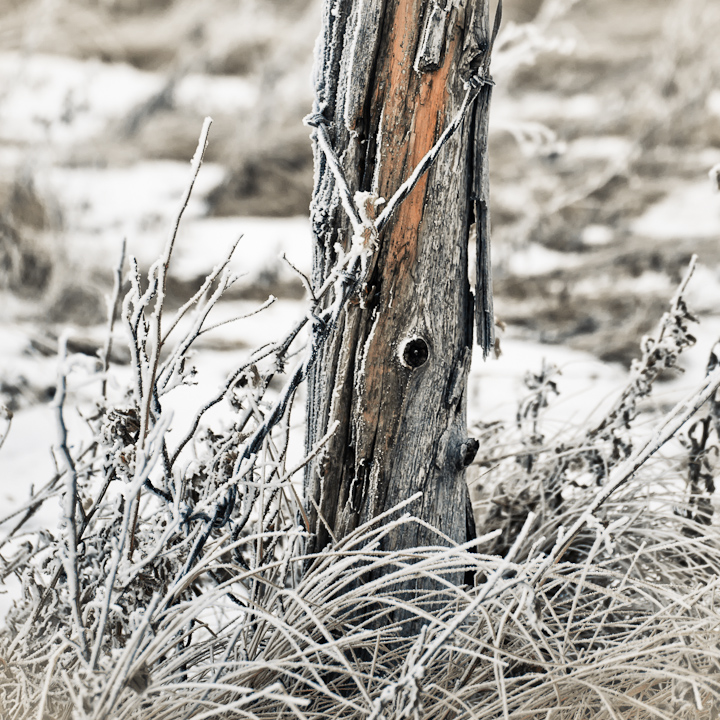 Carla Dyck Photography: Worn and Weathered