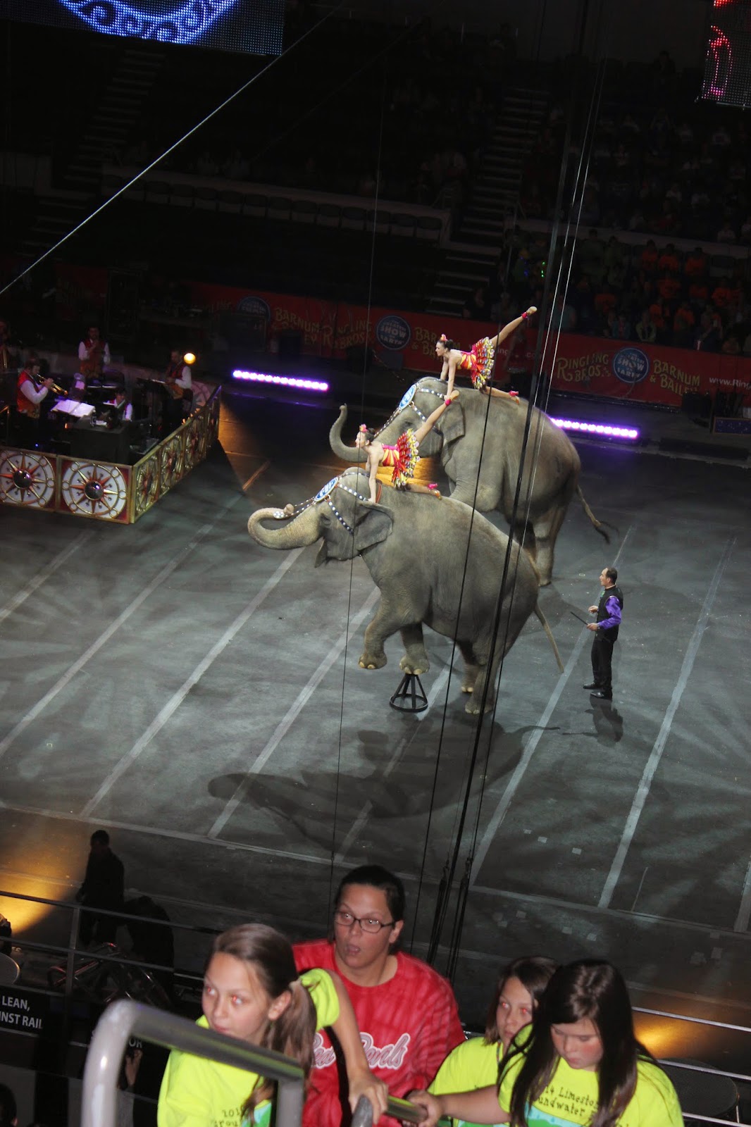 The Houndstooth Teacher: Circus Field Trip