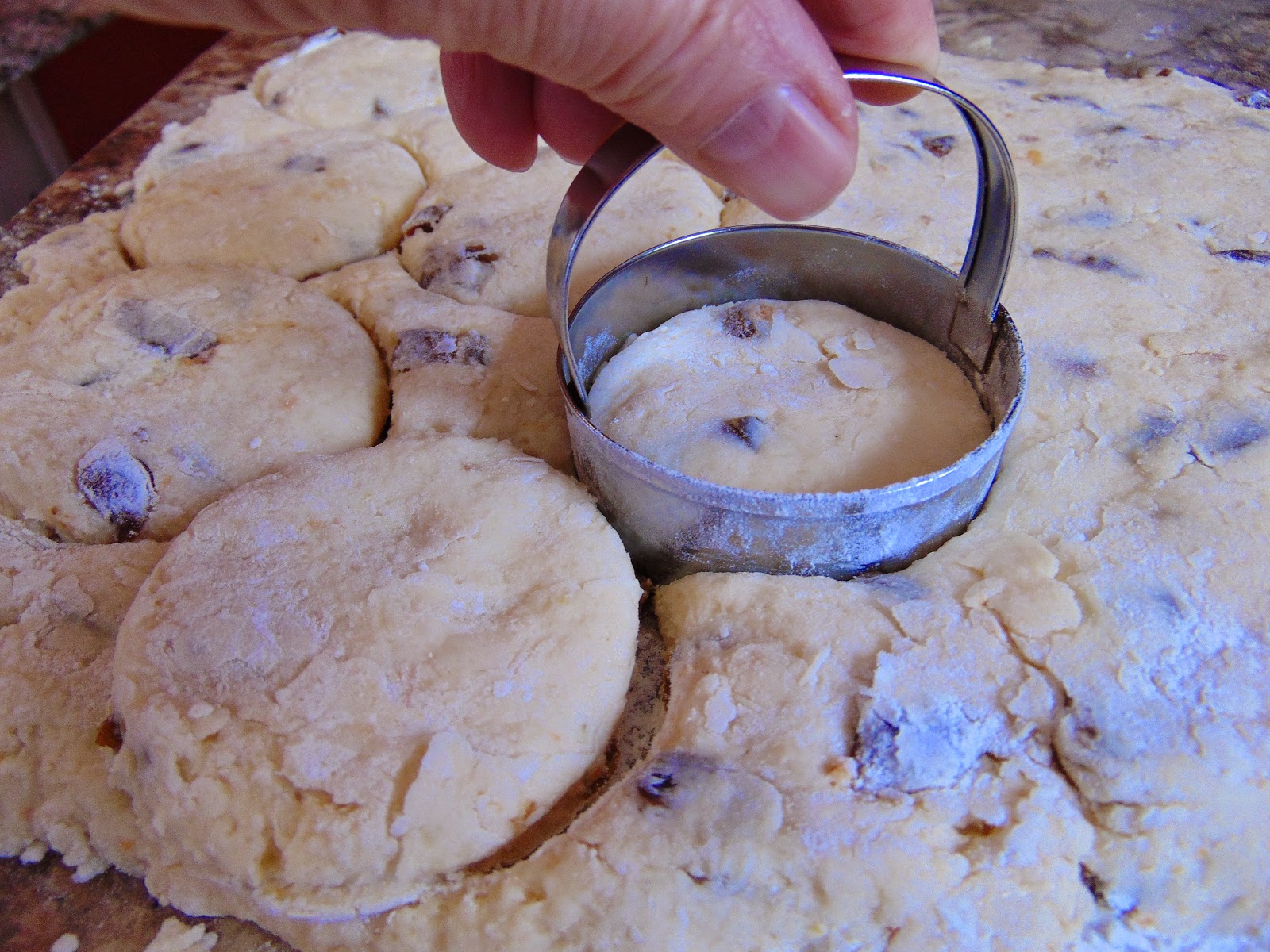 Orange Date Tea Buns or Scones