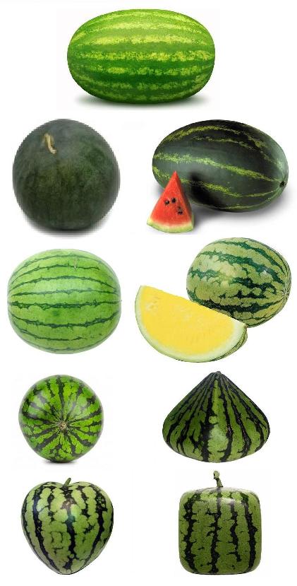 Gastronomía a Libreta Abierta, [=I=]: Tipos de Sandias