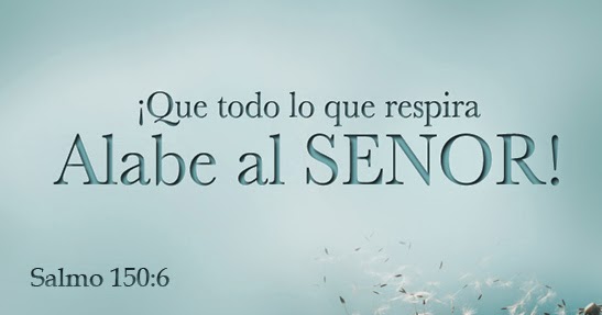 Salmos 150: 6 - Versículos Bíblicos