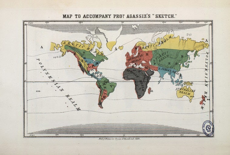 Until Darwin: Science and the Origins of Race: The "American School": A ...