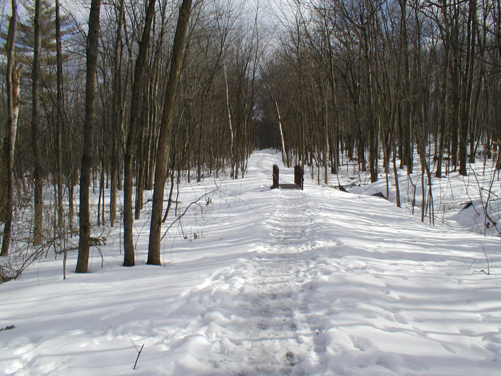 Onestep Outdoors!: Garcelon Bog Conservation Area
