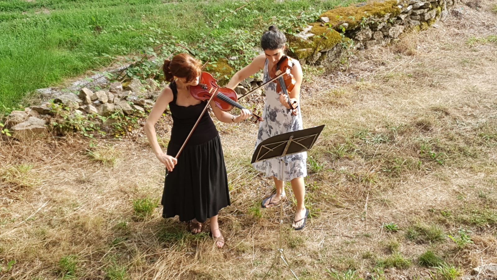 Festiulloa: Galería