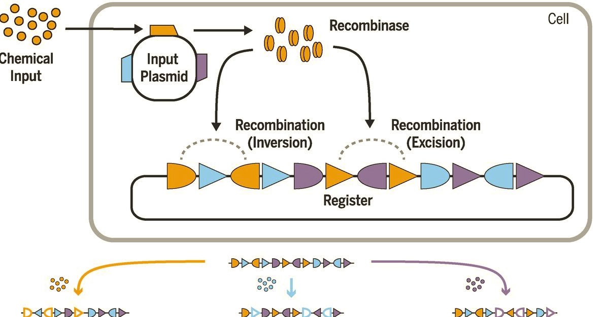 Biblio Bytes: Pondering Library Science in the News: The Biological ...
