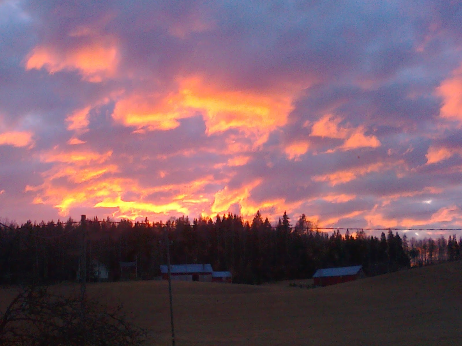 Ilo elää: Auringon lasku