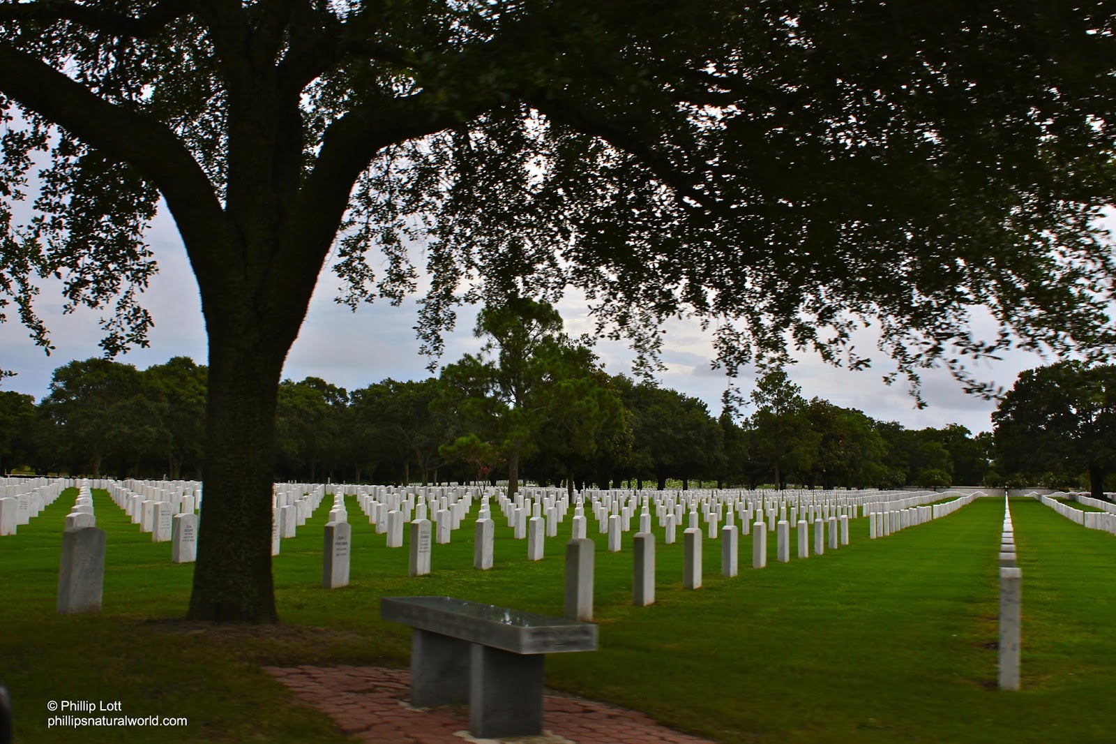 Barrancas National Cemetery - Phillip's Natural World