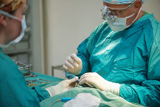 Orthopeed voor hond en kat