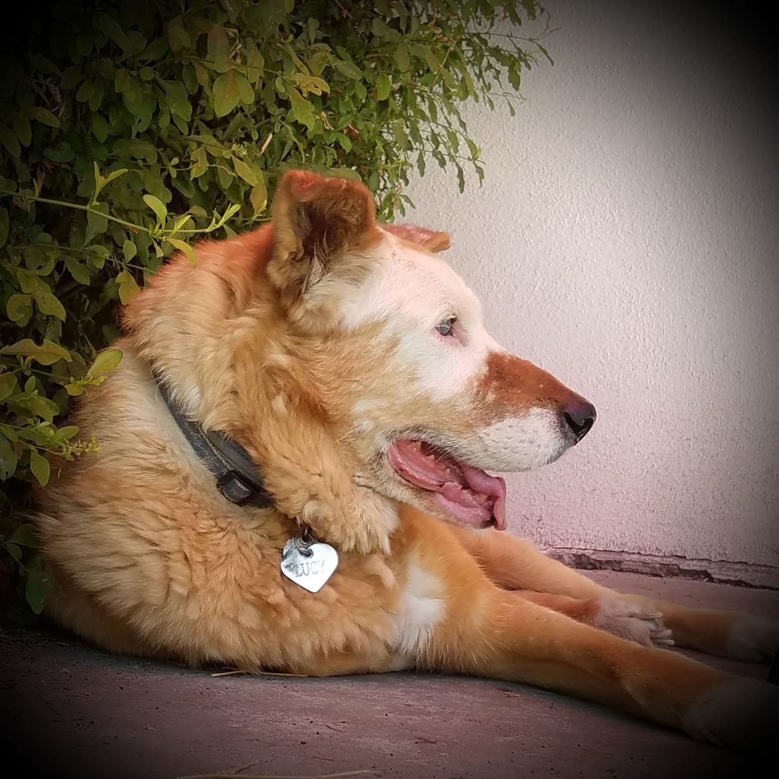 Gregory Dean Suddeth (1953 - 2008): St. Peter at the Pearly Gates