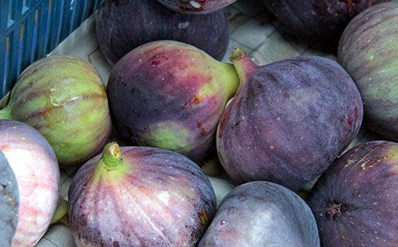 Figs Photo Collection Around the World: Bursa Black - Bursa Siyah