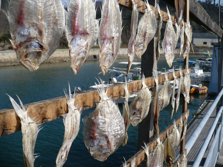Tiny Reactors: Fish Drying at the Port in Niihama