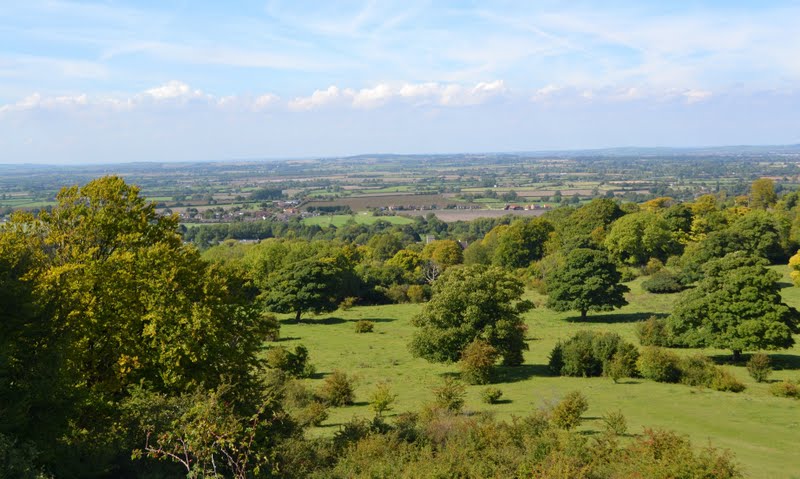 Walks among Flowers: Buckinghamshire: Little Hampden to Cadsden II ...