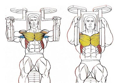 PECTORAL CONTRACTOR ~ RUTINAS DE VOLUMEN