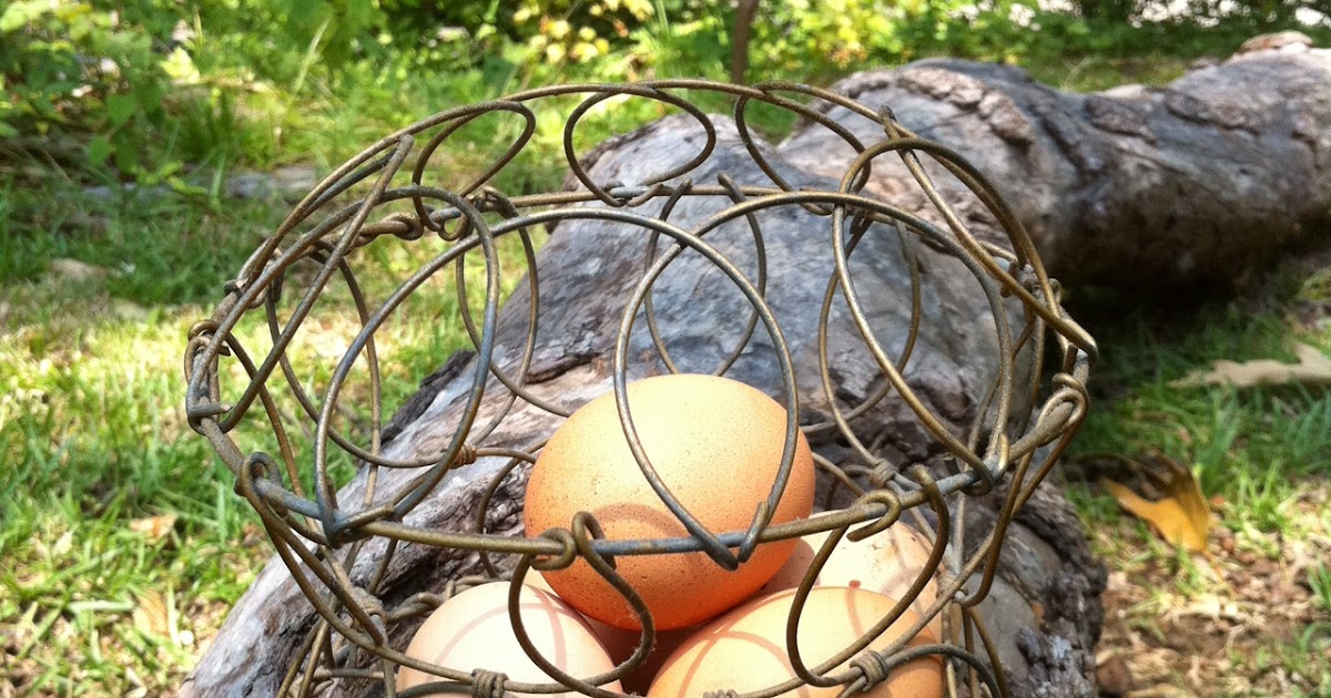Pretty Little Nest: Fresh eggs on the ground